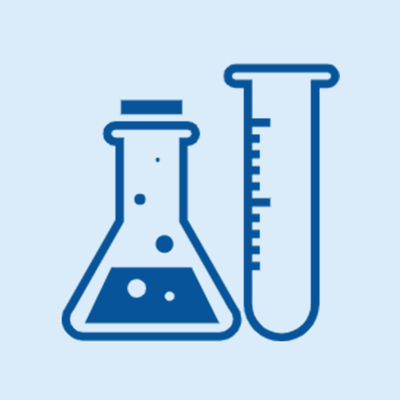 DH10B 感受态细胞